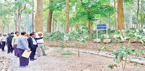 မန္တလေးတိုင်းဒေသကြီးအတွင်း စိုက်ပျိုးမွေးမြူရေးလုပ်ငန်းများ တိုးမြှင့်ဆောင်ရွက်နိုင်ရေး ကြည့်ရ