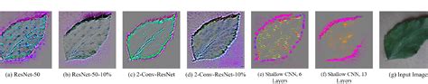 Figure 4 From Visualizing Feature Maps For Model Selection In Convolutional Neural Networks
