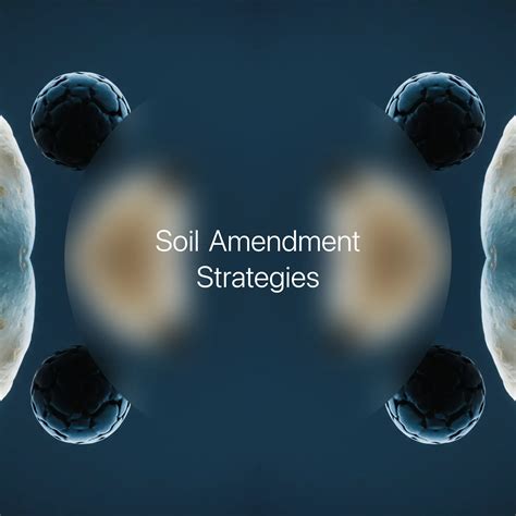 Soil Amendment Strategies → Term