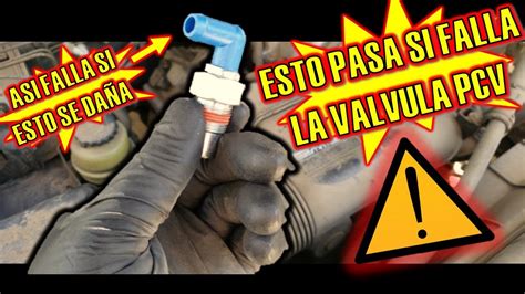 Valvula Pcv Que Pasa Si Falla At Anna Kowalski Blog