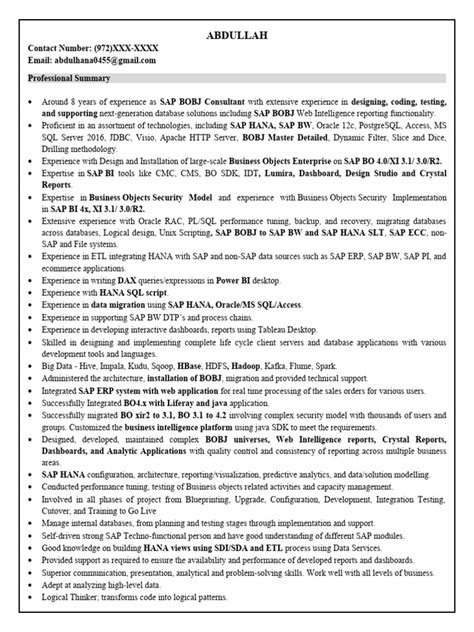 Abdullah Sap Bw Bobj Bi Pdf Databases Data Warehouse