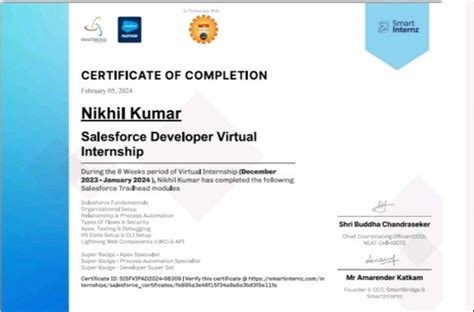 Nikhil Kumar On Linkedin Smartinternz Salesforce Salesforcedeveloper Trailhead Aicte