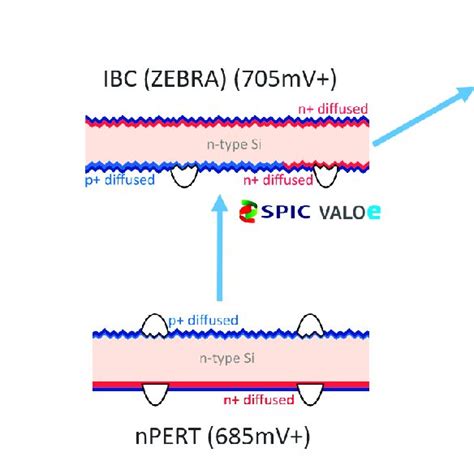 Different Structures Of Ibc Solar Cells As Evolutions From Different Download Scientific