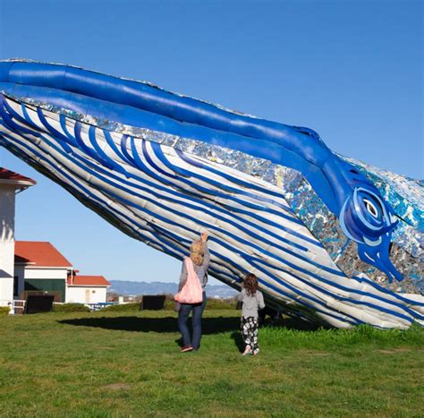 Monterey Bay Aquarium Hub Strategy Design And Advertising Agency