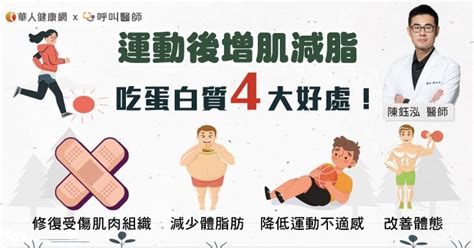 運動後增肌減脂，吃蛋白質4大好處！醫：蛋白質攝取必學3招小技巧 華人健康網 專業即時優質的健康新聞及資訊分享平台業即時優質的健康新聞及