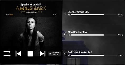 Maxi Media Player Page 6 Dashboards And Frontend Home Assistant