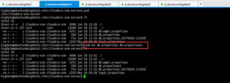 Clouder Manager安装时出现please Remove The Following File Etccloudera Scm