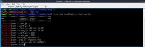 Exploiting Ss7 Vulnerabilities Using Sigploit