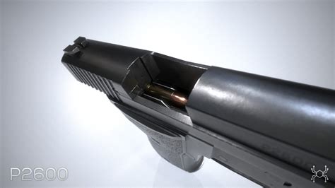 Aaa P226 Pistol Model Rig