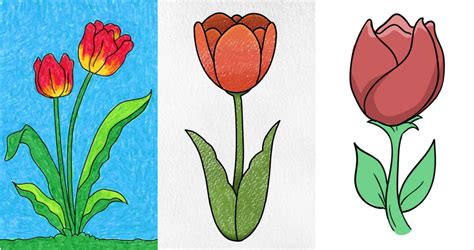 Easy Tulip Drawing Ideas How To Draw A Tulip