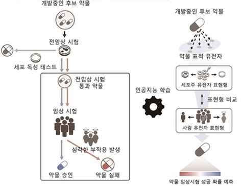 포스텍 신약개발 임상시험에 Ai 기술 적용 성공 전자신문