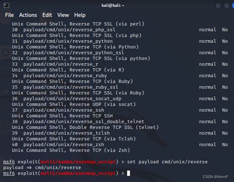 Metasploit渗透测试：linux远程攻击与防御分析 Csdn博客