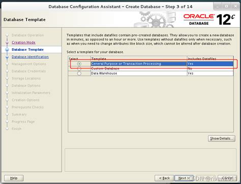 使用dbca创建数据库 Csdn博客