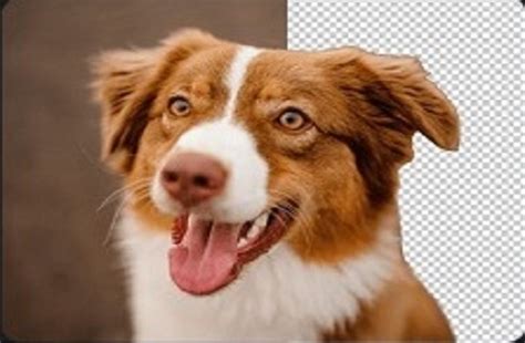 Uploading File With React Bosc Tech Labs