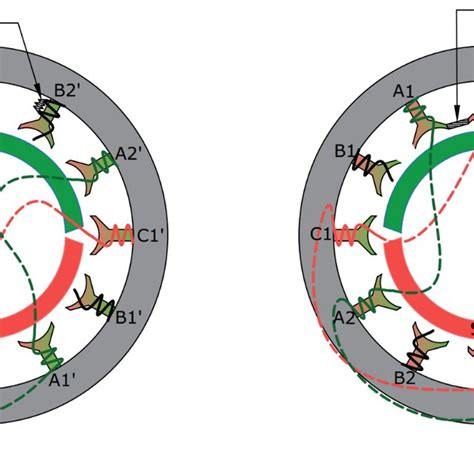 A Inter Turn Short Circuit Fault B Winding Short Circuit Fault Download Scientific Diagram