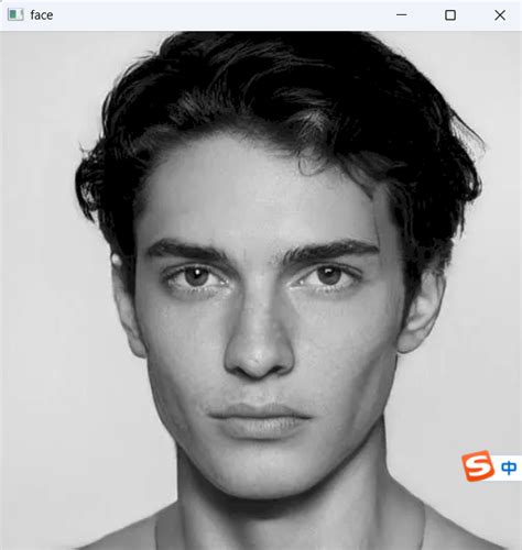 基于opencv的风格迁移：图像金字塔方法 Csdn博客