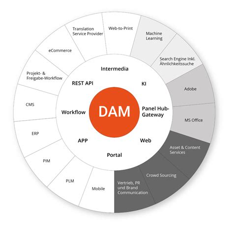 Dam Asset Management At Ellis Shepherd Blog