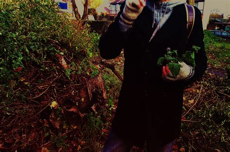 An Office Workers Guide To Urban Foragingoffice Breaks