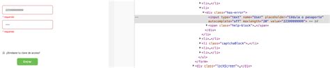 Setting Value Of Input With Javascript Dont Pass Has Error Validation