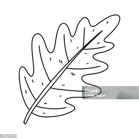 가을 잎 손으로 그린 낙서 스타일 흰색으로 분리된 벡터 그림입니다 색칠하기 페이지 0명에 대한 스톡 벡터 아트 및 기타 이미지 0명 가을 계절 Istock