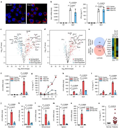 Sftsv Nss Mediated Alteration Of Host Gene Expression A Inclusion Download Scientific