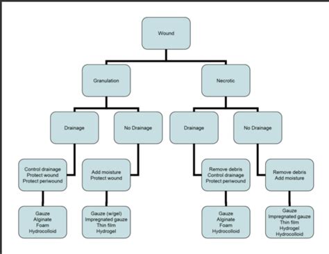 Quiz 2 Dressing Selection Flashcards Quizlet