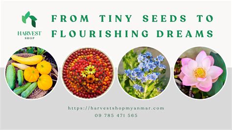 Gap သဘာ၀ မြေသြဇာ အရက်ကို သောက်လာတာကြာလှပြီကွာတိကနဲ မဖြတ်ပါနဲ့