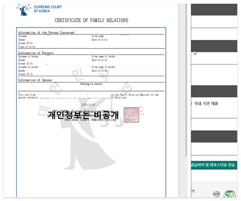 유학준비 출생증명서 방문없이 인터넷 발급받기 영문 출생증명서