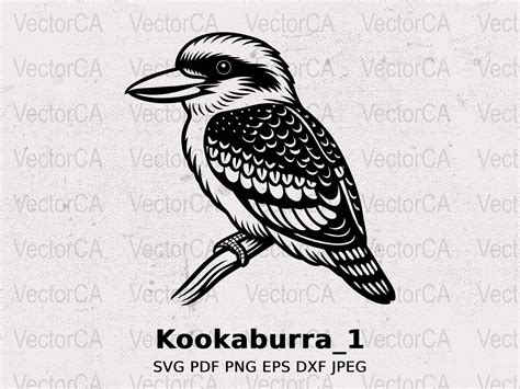 Kookaburra Svg Digital Download Cricut Compatible Cut File Instant