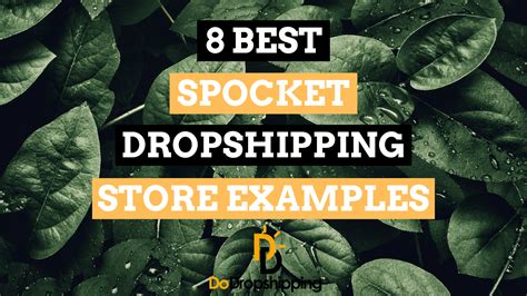 8 Best Spocket Dropshipping Store Examples For 2025