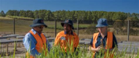 Biosecurity Sugar Research Australia
