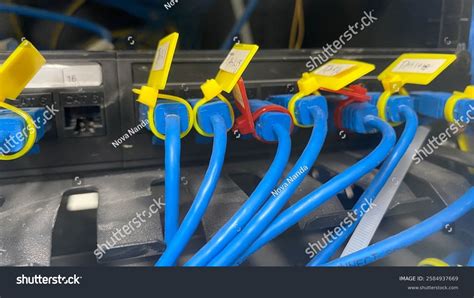 Close Network Patch Panel Multiple Blue Stock Photo 2584937669 Shutterstock