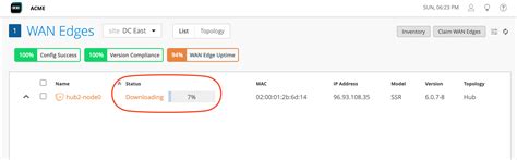 Upgrading Wan Edge Ssr Mist