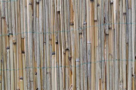 무료 사진 나무 벽 패널 오래 된 패턴 나무 텍스처 디자인 건설 패브릭