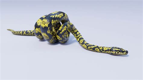 Animated Zebra Jungle Carpet Python 3d Model By Dibia Digital Animated Zebra Jungle Carpet Python 3d Model By Dibia Digital