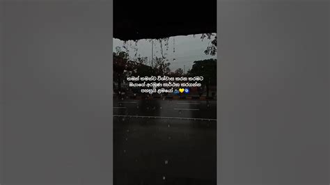 ඔයා තාමත් ඔයාව විශ්වාස කරන්නෙ නැද්ද🧿🤍දැන්ම පටන්ගන්න ඔයා ඔයාව විශ්වාස කරලා තමන්ගේ අරමුණට වැඩ