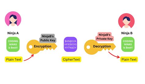 What Is Ciphertext Naukri Code 360