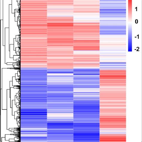 Heat Map And Dendrograms Of Hierarchical Clustering Showing The Download Scientific Diagram
