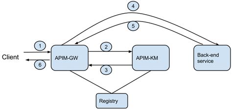 dinusha s blog message tracing with wso2 api manager