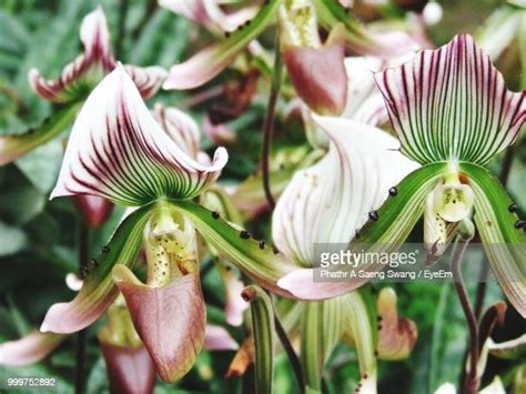 Swang Photos And Premium High Res Pictures Getty Images