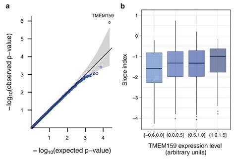Gene Based Association Results Of The Expression Based Approach Download Scientific Diagram