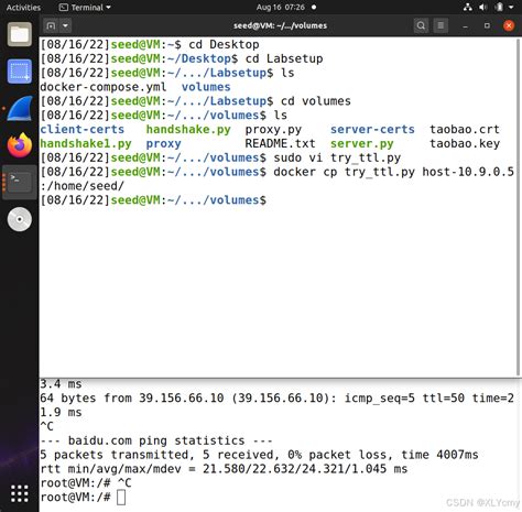 Packet Sniffifing And Spoofifing Labpacket Sniffing And Spoofing Lab Csdn博客
