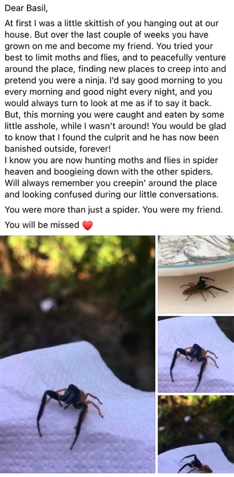 Spoder 9gag Spoder 9gag