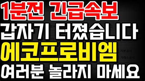 1분전 긴급속보 에코프로비엠 포스코홀딩스 금양 Sbs뉴스 실시간 속보 뉴스 삼성전자 서정덕tv 박순혁 에코프로 주식 에코프로비엠주가전망 기봉이주식