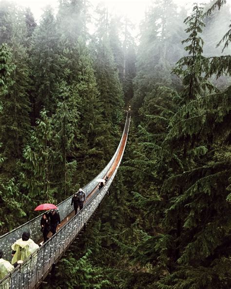 Vancouver Capilano Suspension Bridge Park Stephc