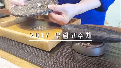 차를 마시고너는 어느 차 밭에서 왔니우림고수 절대쌍교 금병 Youtube
