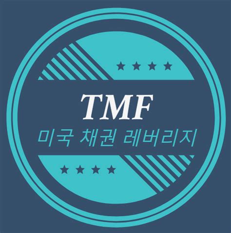 Tmf 미국 채권 Etf 3배 레버리지