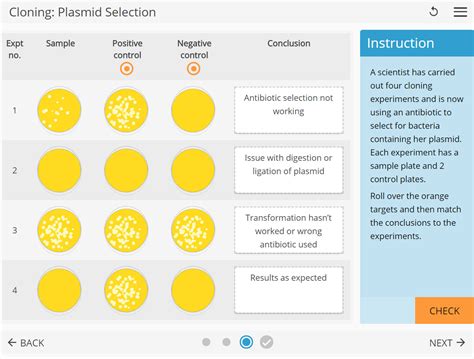 learnsci labsim cloning selection