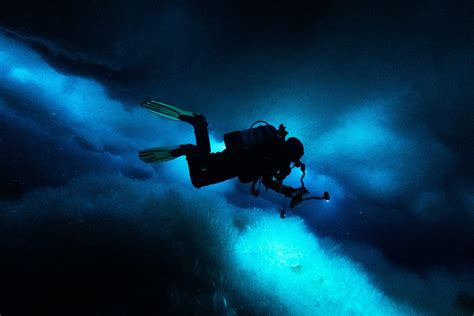 Frozen Or On The Rocks Anchor Ice Is Both Deep Sea And Polar Biology