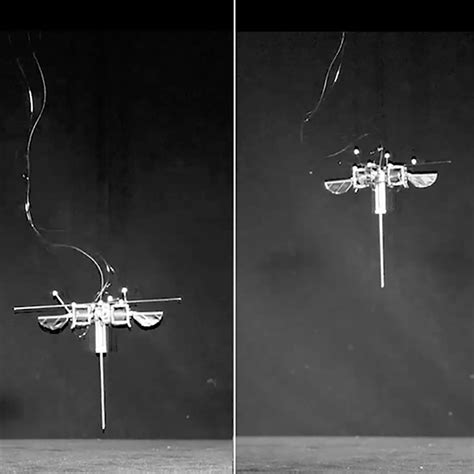 Mit Develops Tiny Robot That Hops Like A Bee And Dreams Of Mars Techeblog